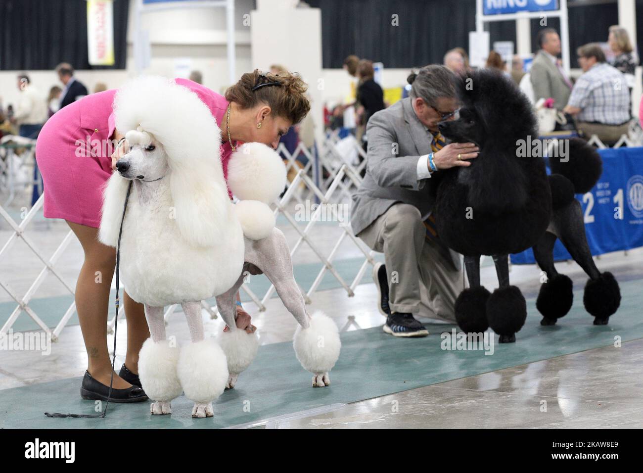 Suburban collection showplace hi-res stock photography and images - Alamy