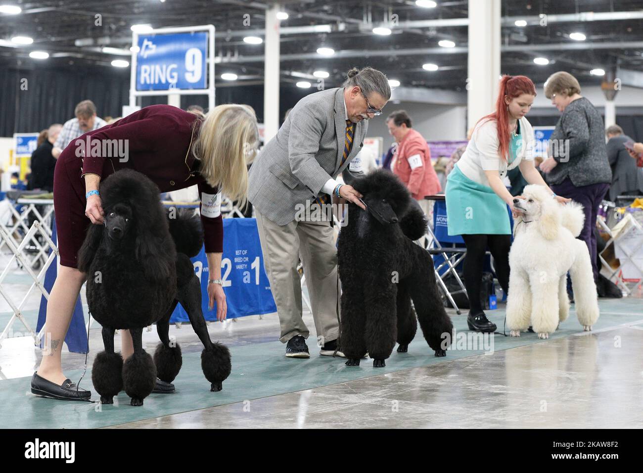 Suburban collection showcase hi-res stock photography and images - Alamy