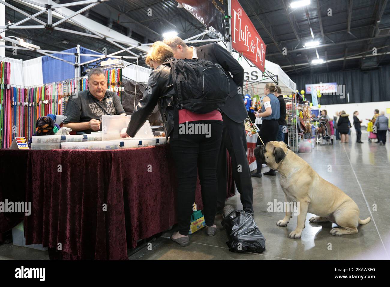 Suburban collection showplace hi-res stock photography and images - Alamy