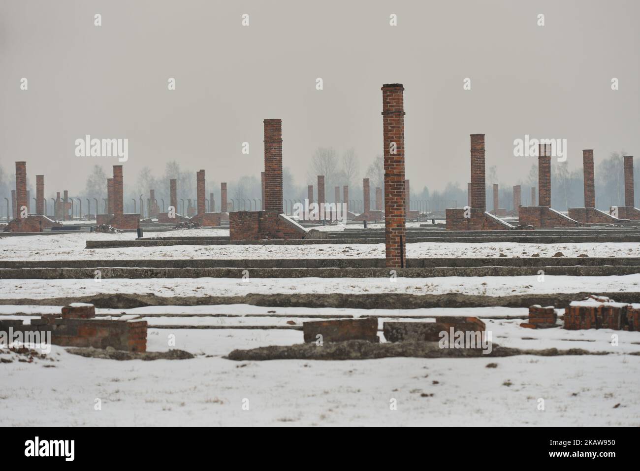 A winter view of Auschwitz II-Birkenau, a German Nazi concentration and ...