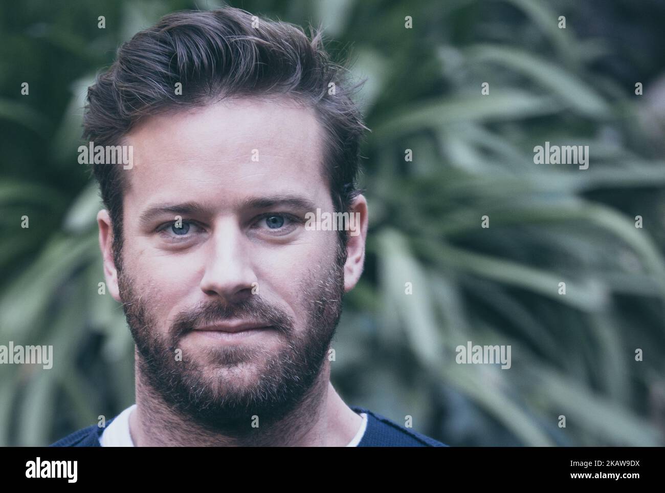 Actor Armie Hammer attends 'Chiamami Col Tuo Nome (Call Me By Your Name ...