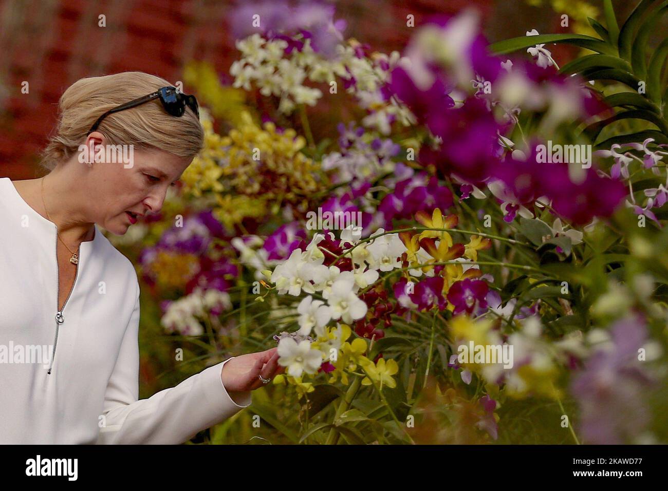 Sophie rhys hi-res stock photography and images - Alamy