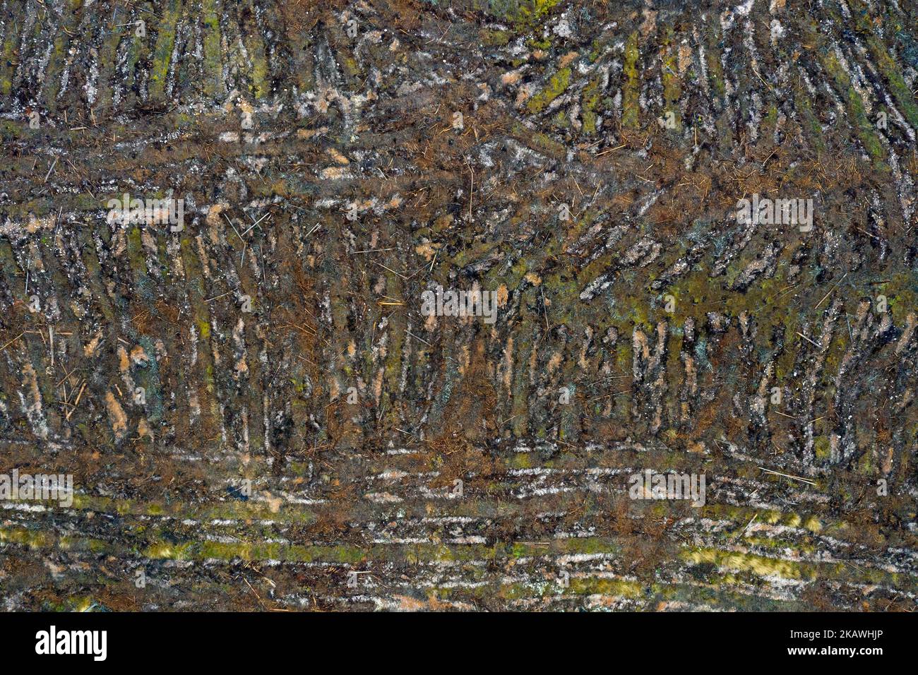 Aerial view over Swedish clearcut area, clearcutting / clearfelling is ...