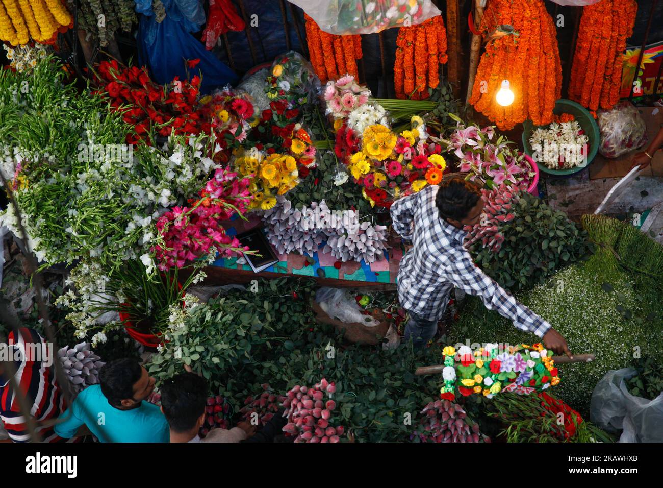 Bangladeshi flower hi-res stock photography and images - Alamy