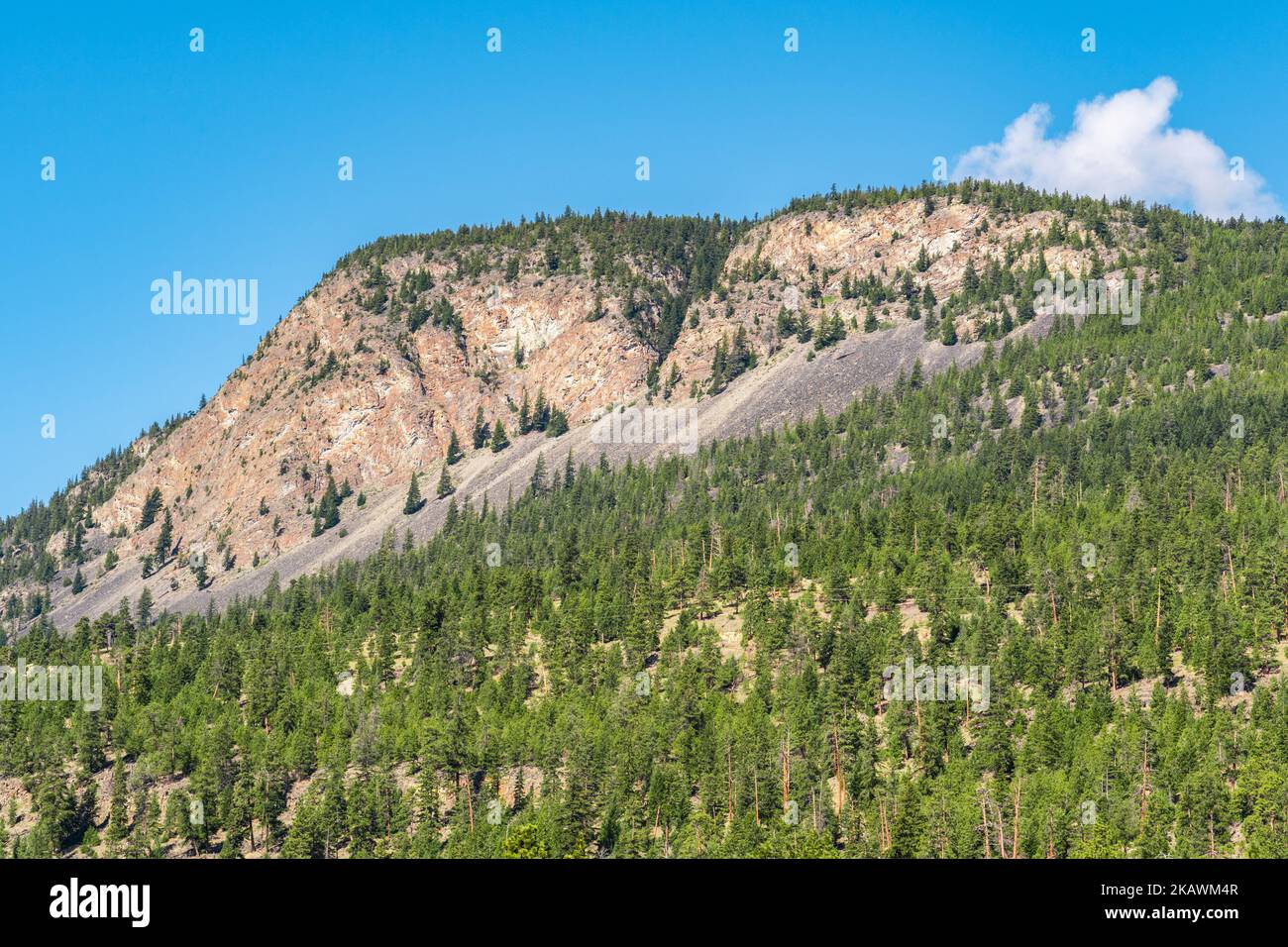 A beautiful view to mountain at Nicola Lake surrounded by lush tree ...