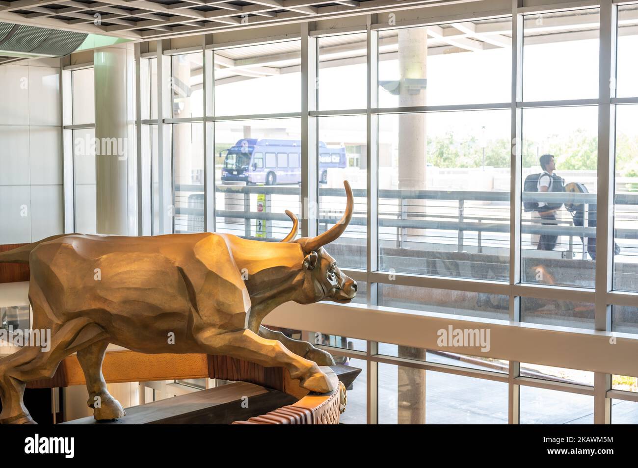 Dallas, Texas, US - 10.2022 - Statue of a cowboy running cattle in the ...