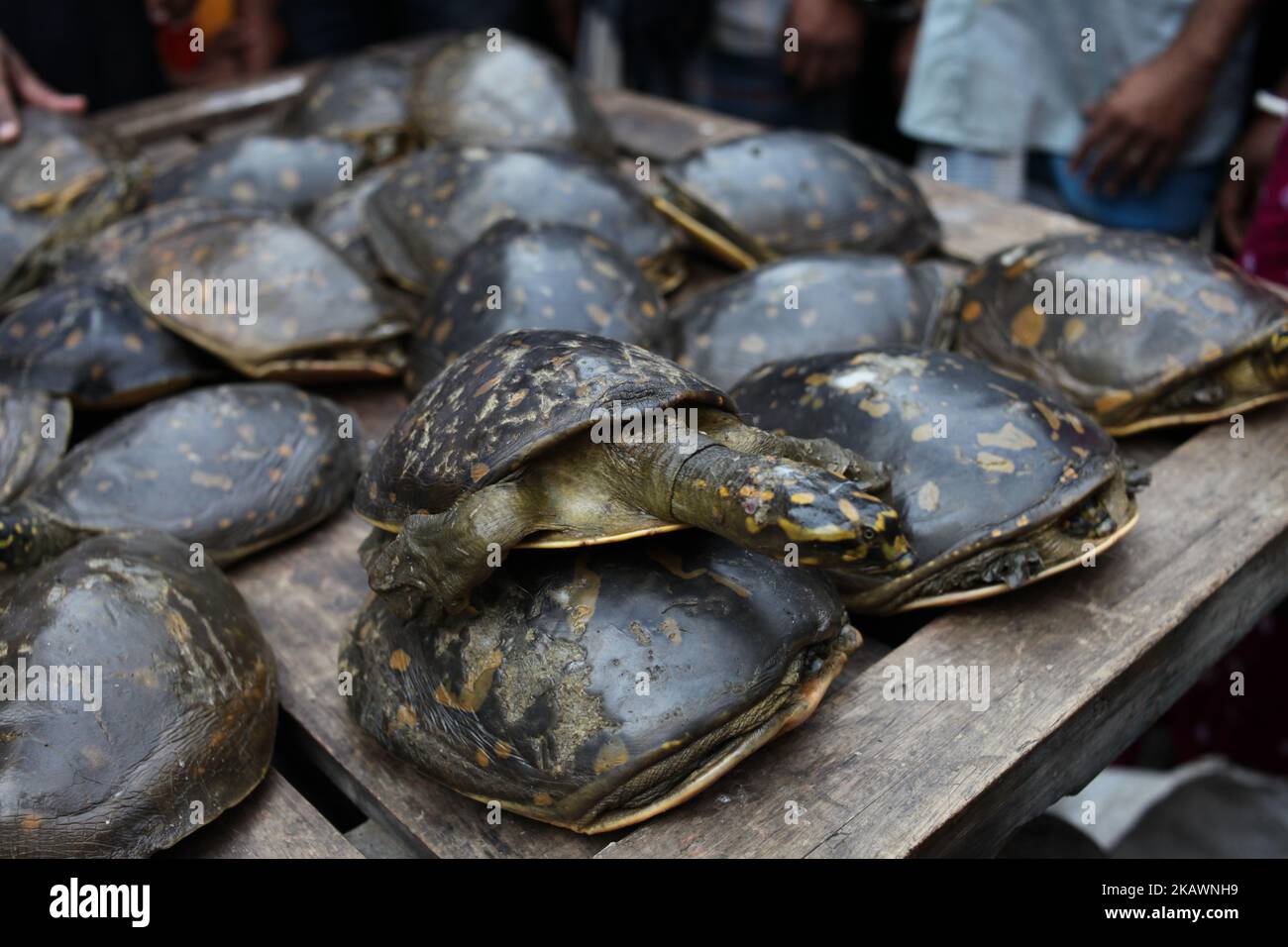 Wildlife Crime Control Unit of Forest Department and the Rapid Action ...