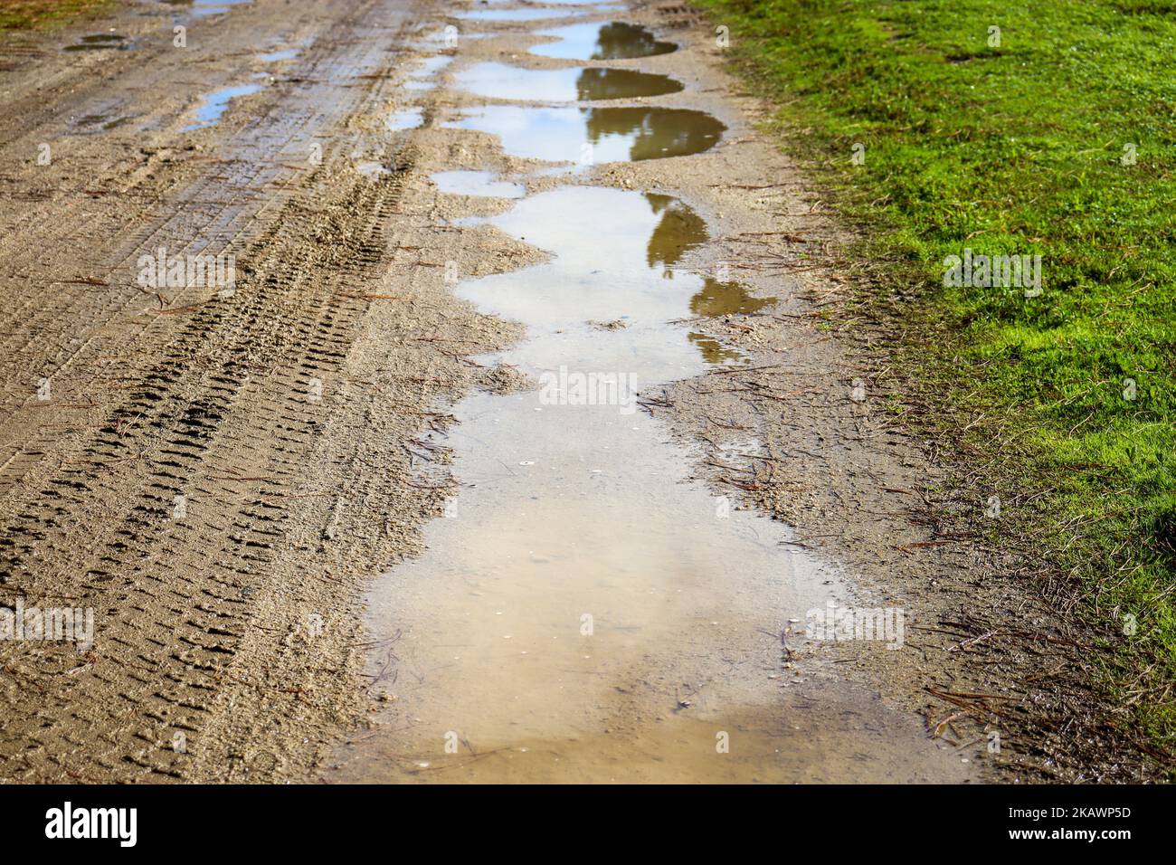 The puddles and tire tracks on a dirty road Stock Photo - Alamy