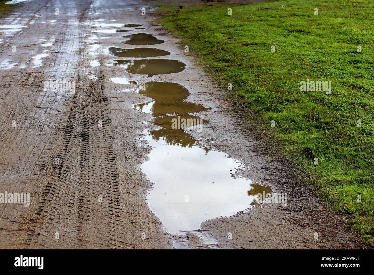 The puddles and tire tracks on a dirty road Stock Photo - Alamy