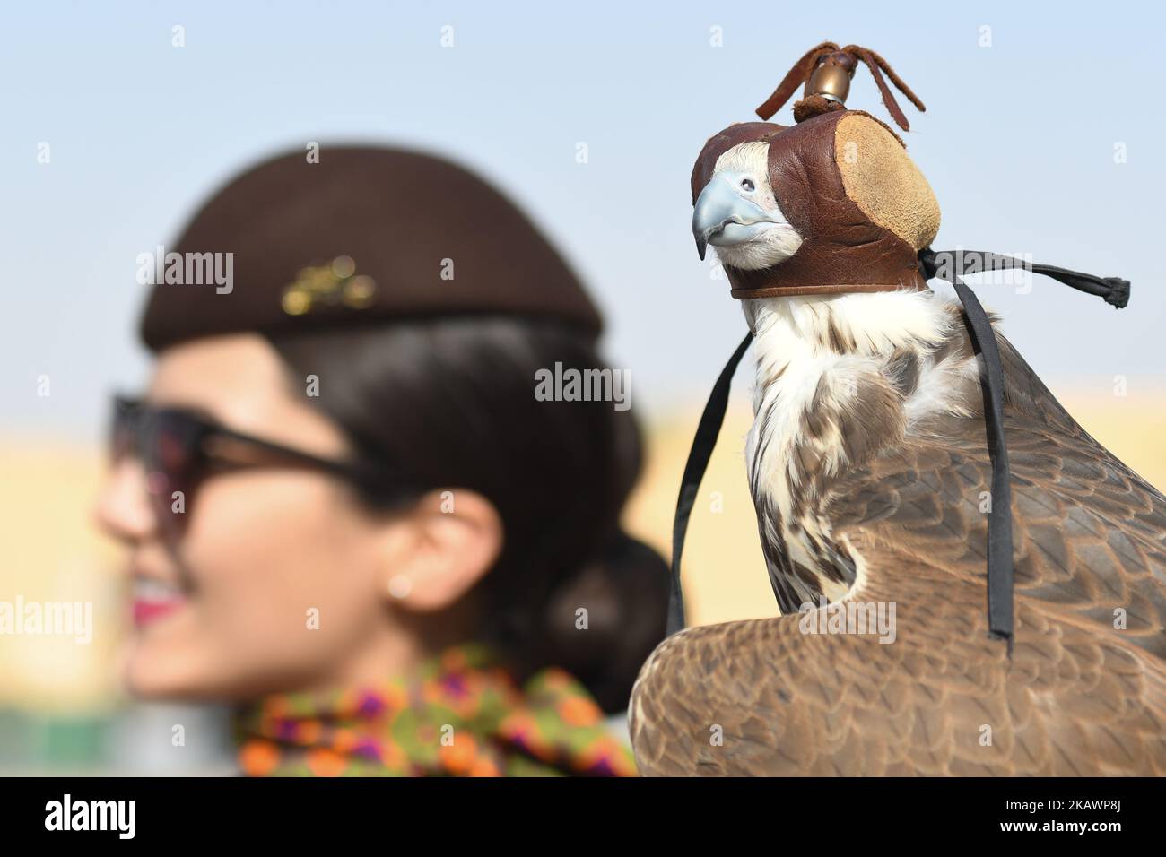 Zayed year of 2018 hi-res stock photography and images - Alamy