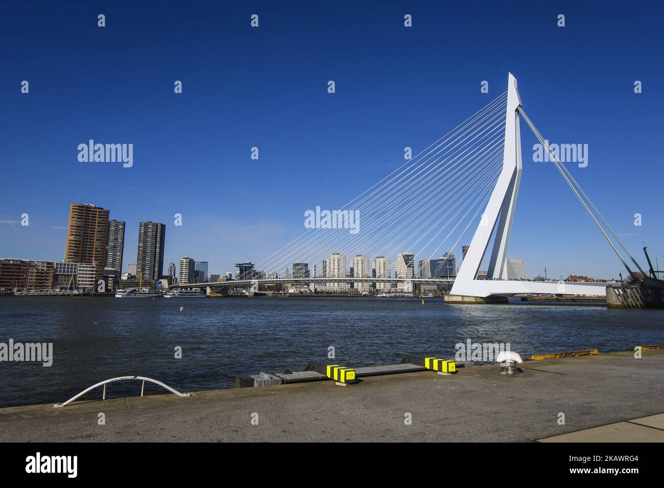 Erasmusbrug or Erasmus Bridge in Rotterdam, Netherlands on 25 February ...