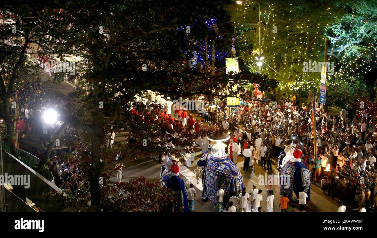 The sacred Buddhist relic casket is carried out by an elephant led by ...