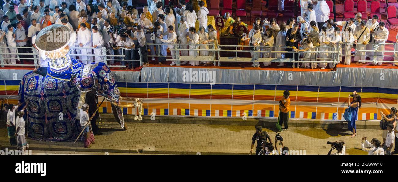 The sacred Buddhist relic casket is carried out by an elephant led by ...