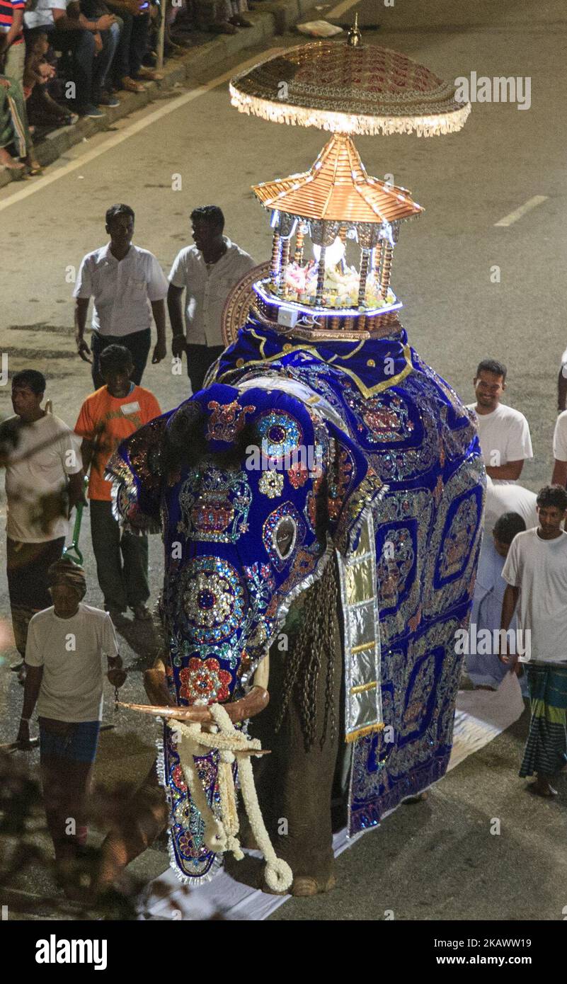 The sacred Buddhist relic casket is carried out by an elephant led by ...