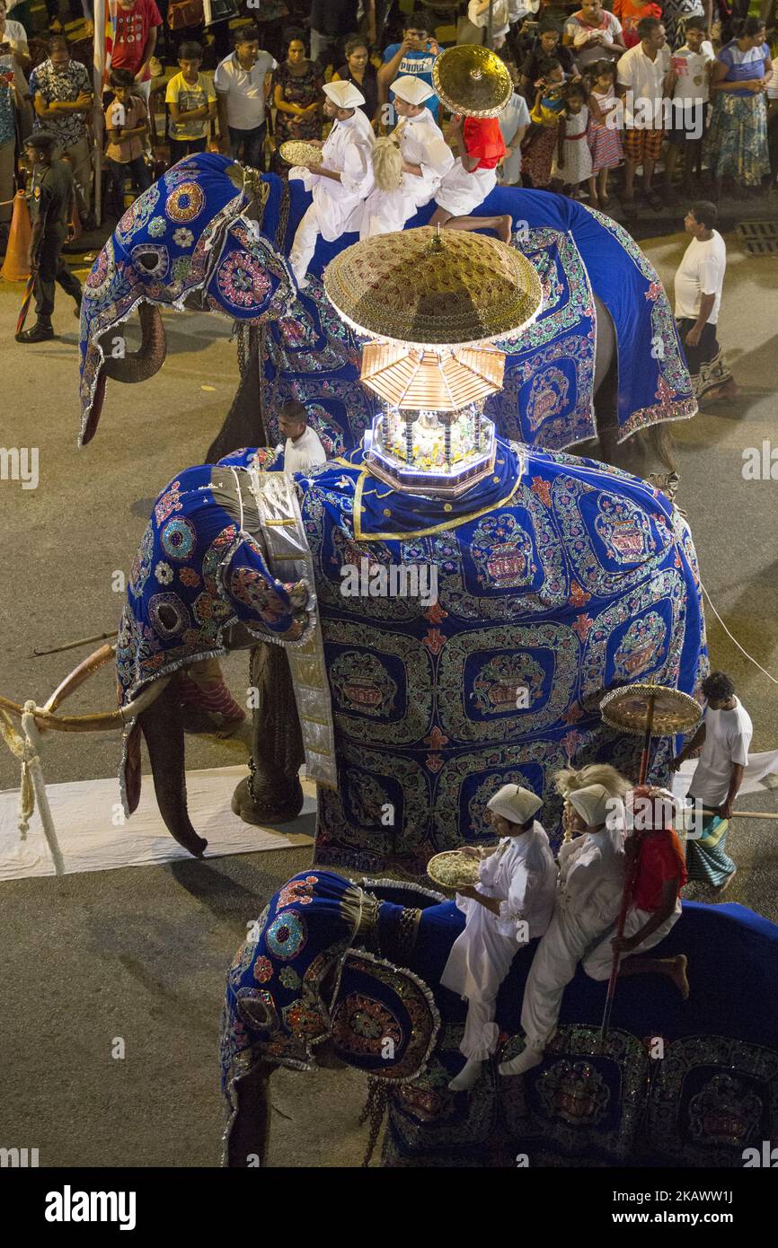 The sacred Buddhist relic casket is carried out by an elephant led by ...