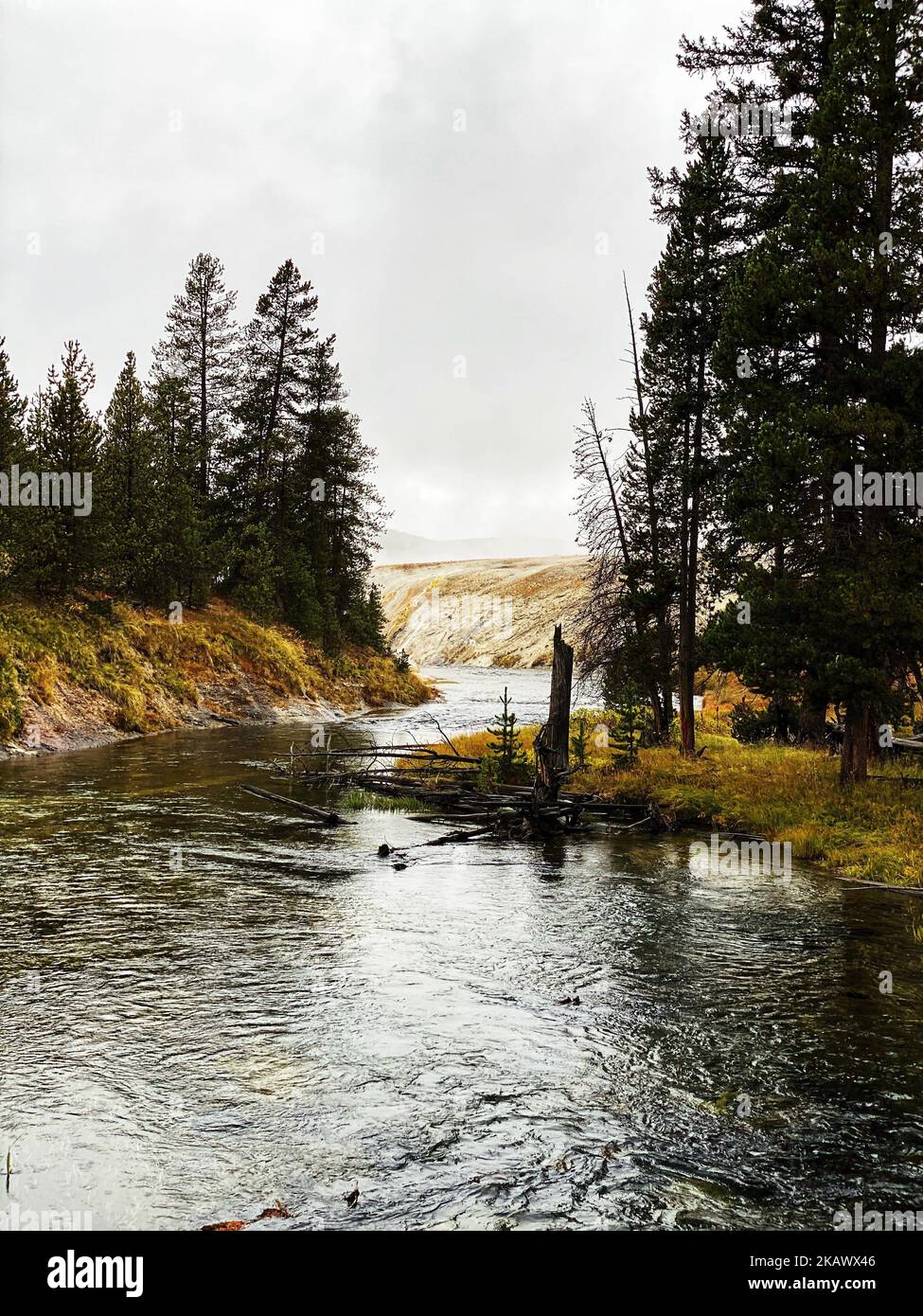 A vertical of Yellowstone rivers surrounded by beautiful national park ...