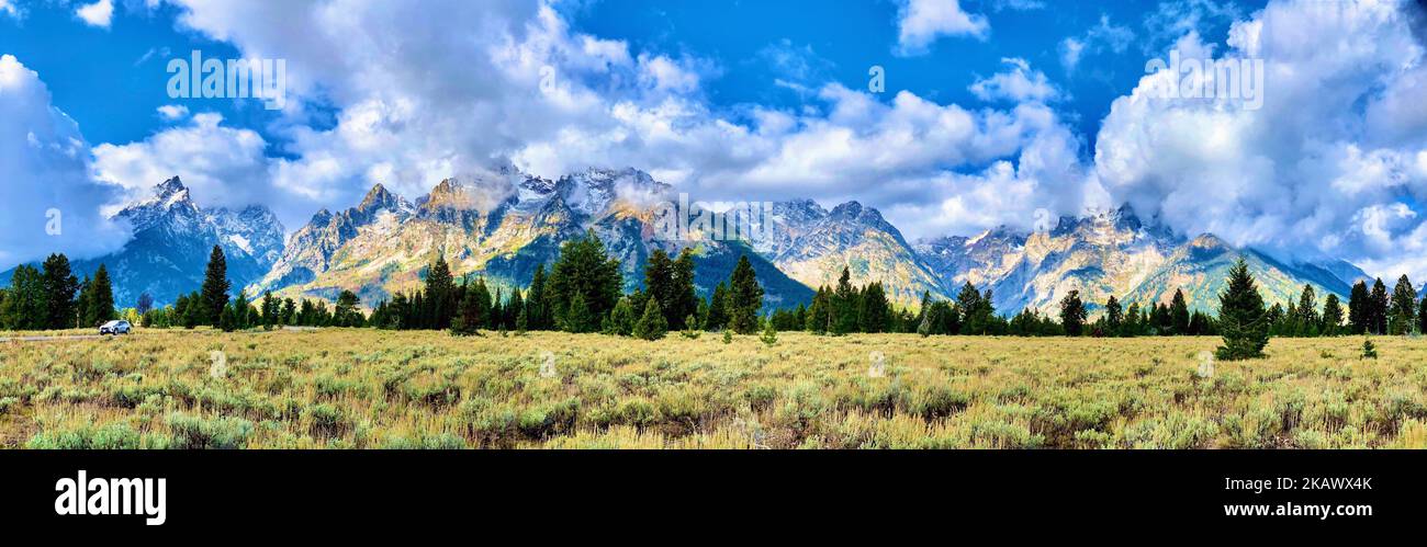 A panoramic of Yellowstone national park with its beautiful tree line ...
