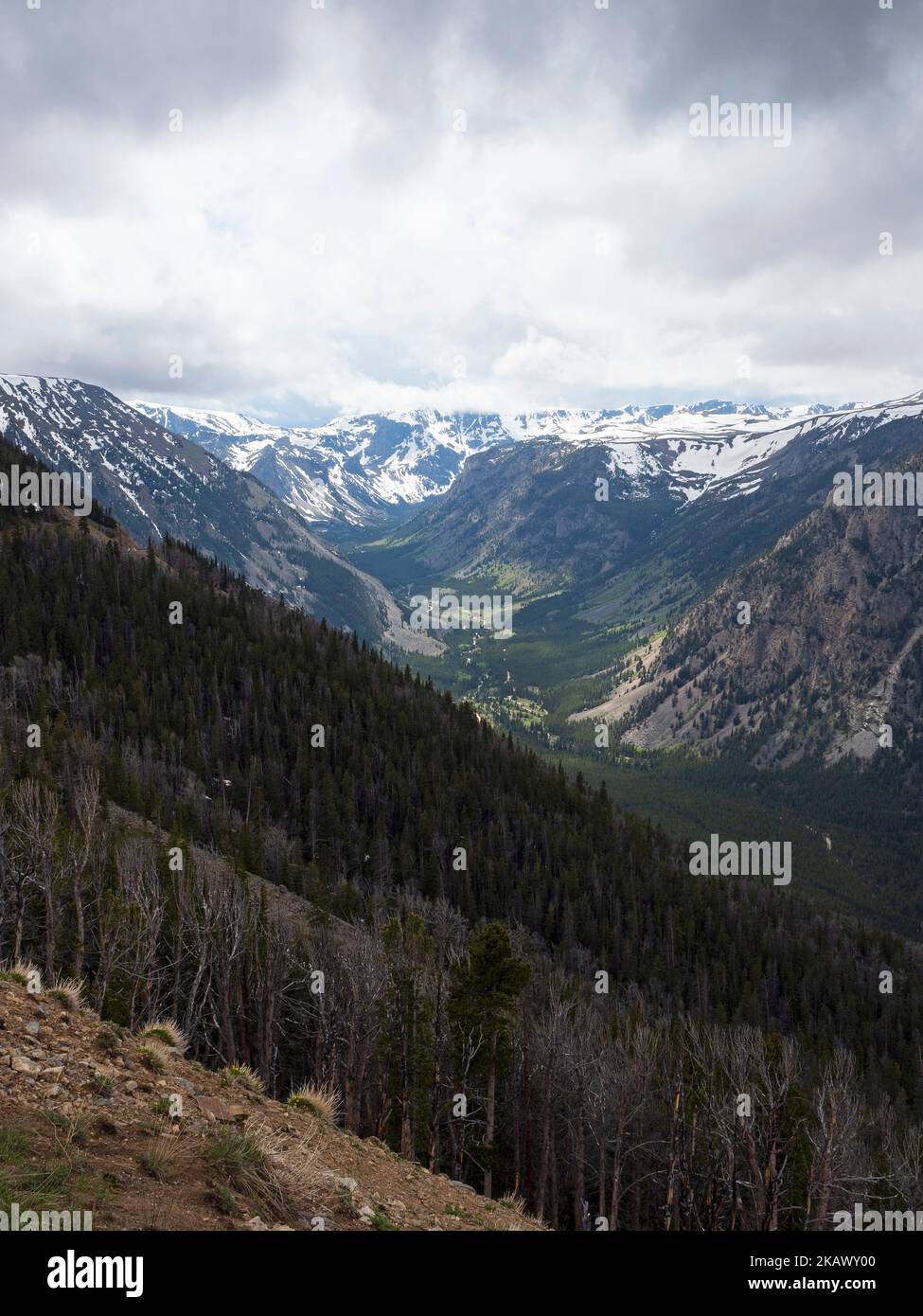 Snow covered mountains and coniferous forest with Rock Creek valley ...