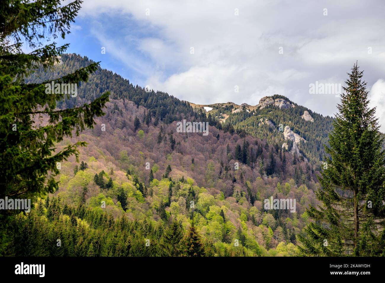 A landscape nature of the Ciucas Mountain with grass under blue cloudy ...