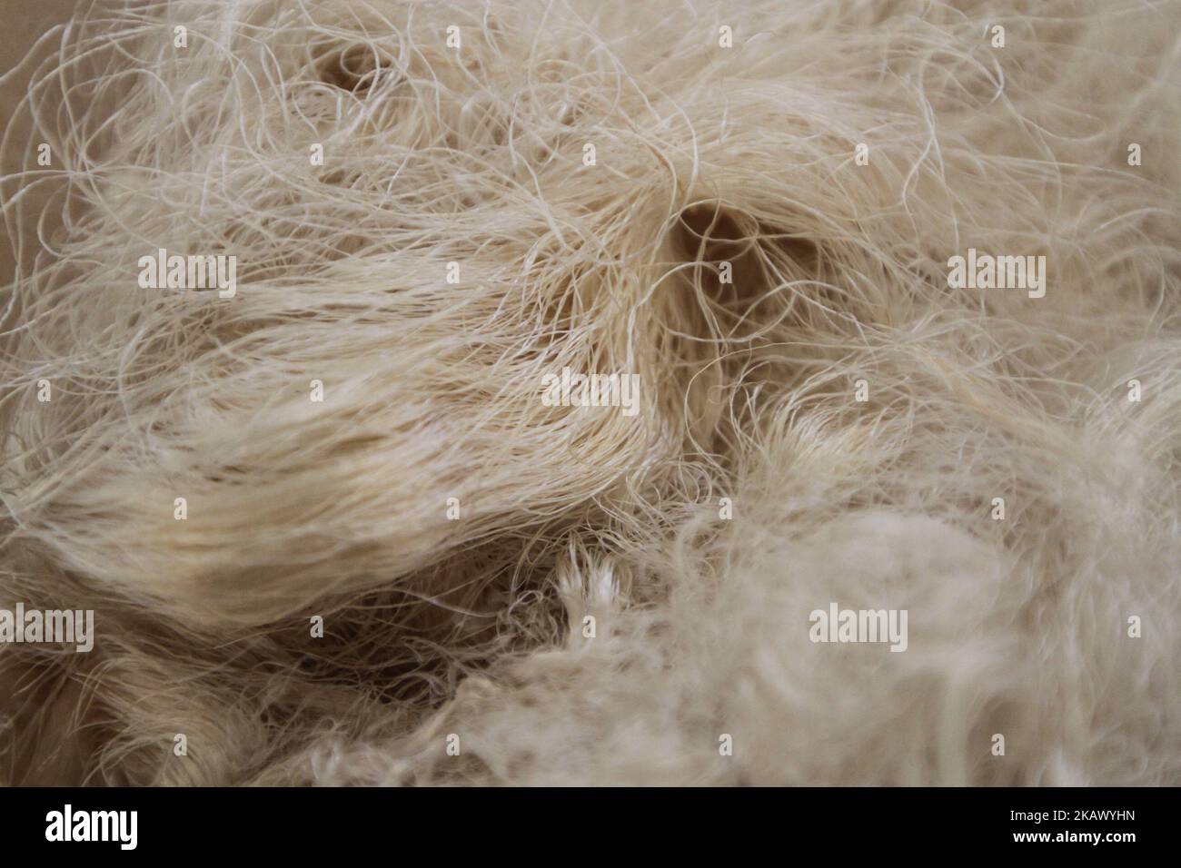 The Ministry of Textiles and Jute organised the three-day programme of ...