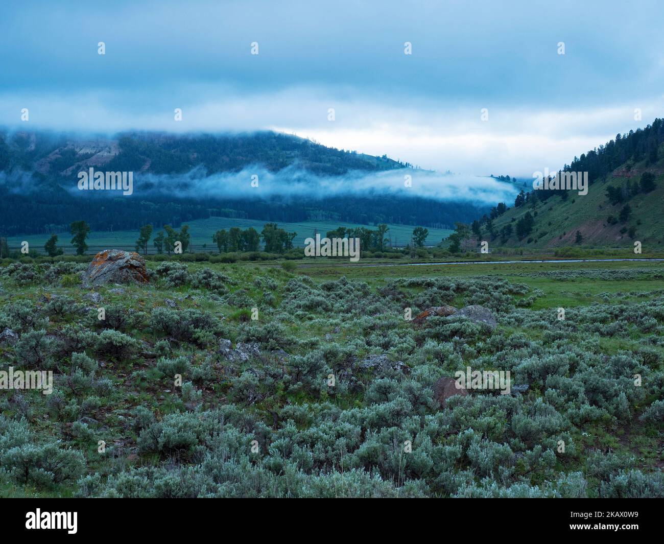 Low cloud over mountains with Silver sagebrush in the foreground, Lamar ...