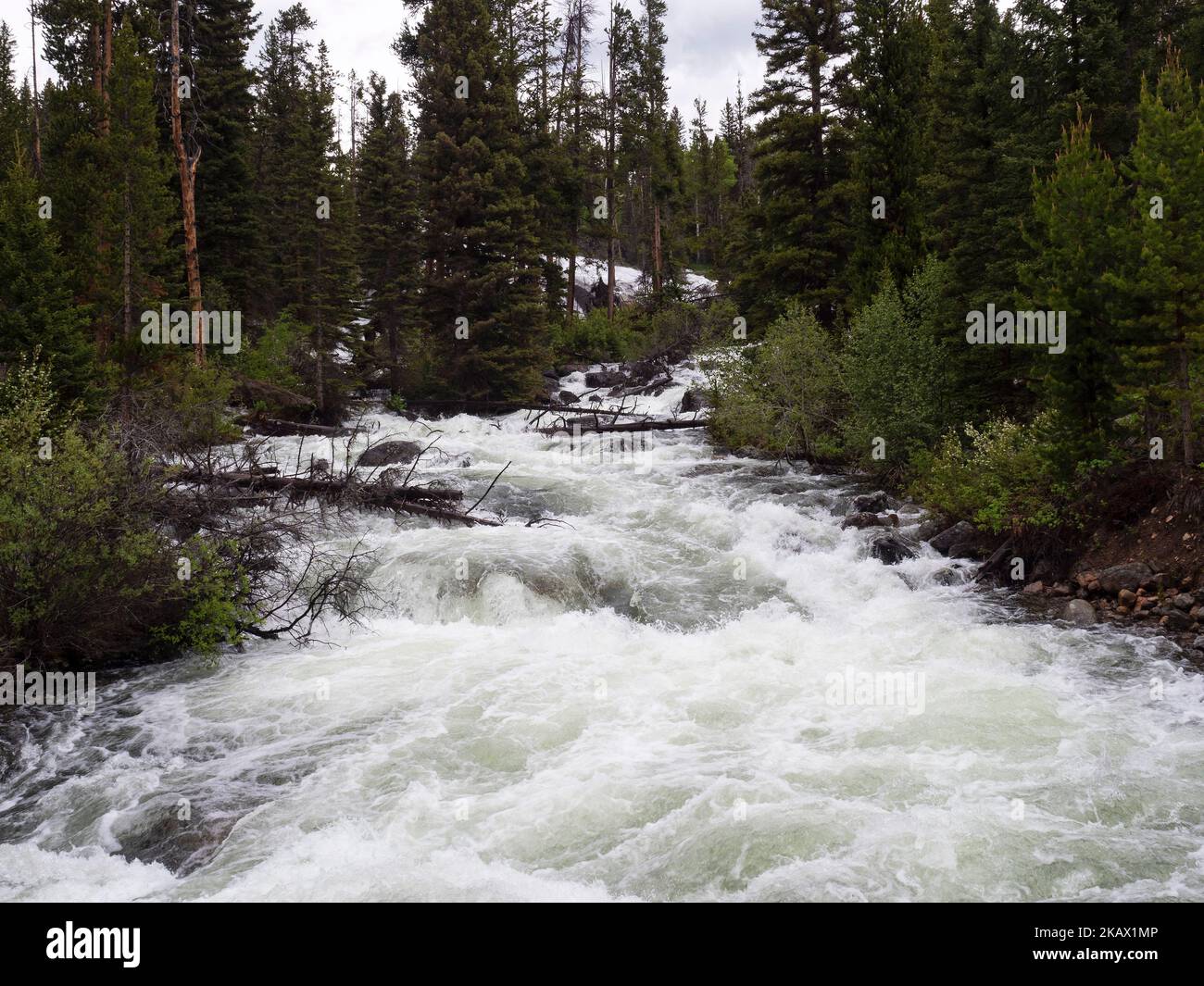 Bear tooth creek falls hi-res stock photography and images - Alamy