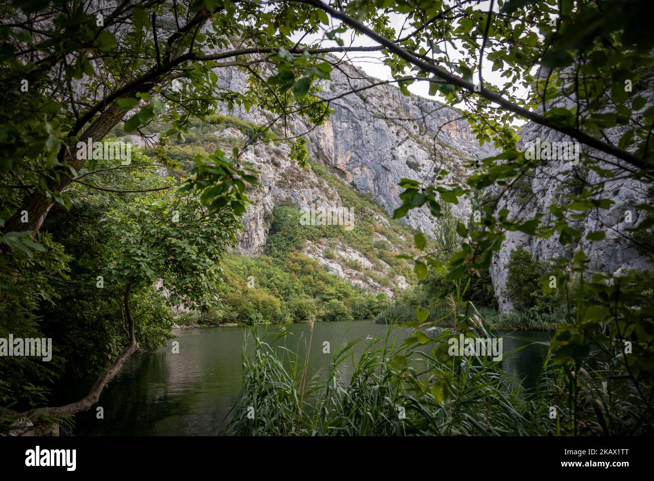 Beautiful rocky cliffs and mountain peaks, covered with dense forest ...
