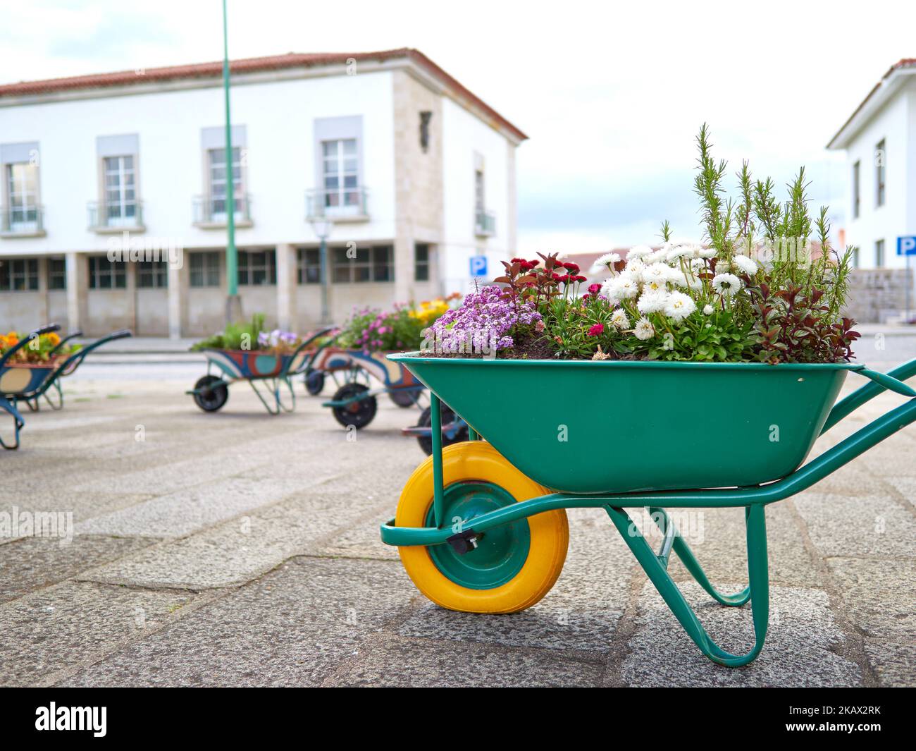 Wheelbarrows with flowers hi-res stock photography and images - Alamy