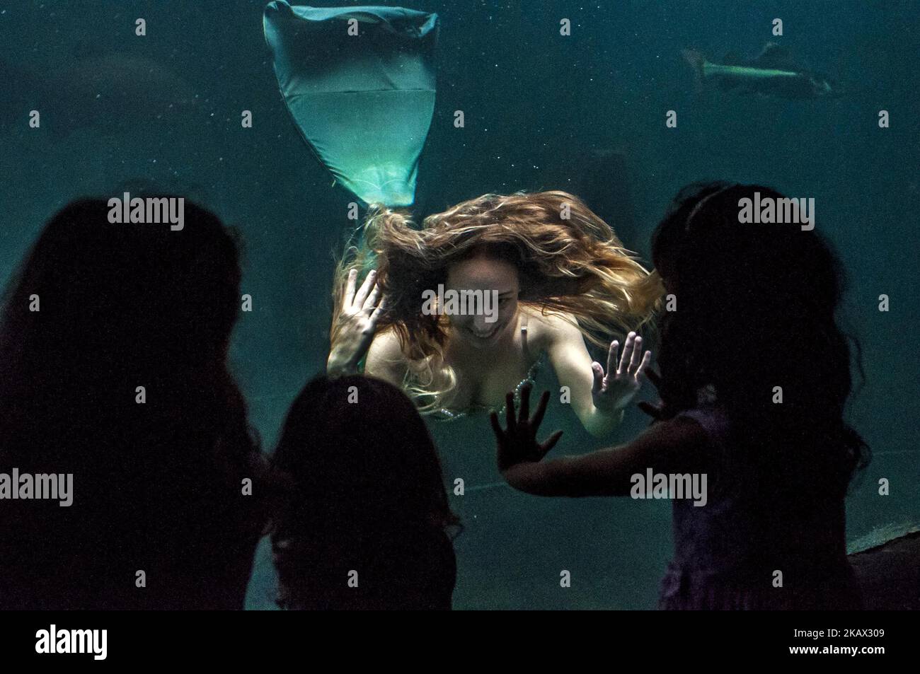 Visitors watch mermaid, as she swims with fish in a giant tank during a ...