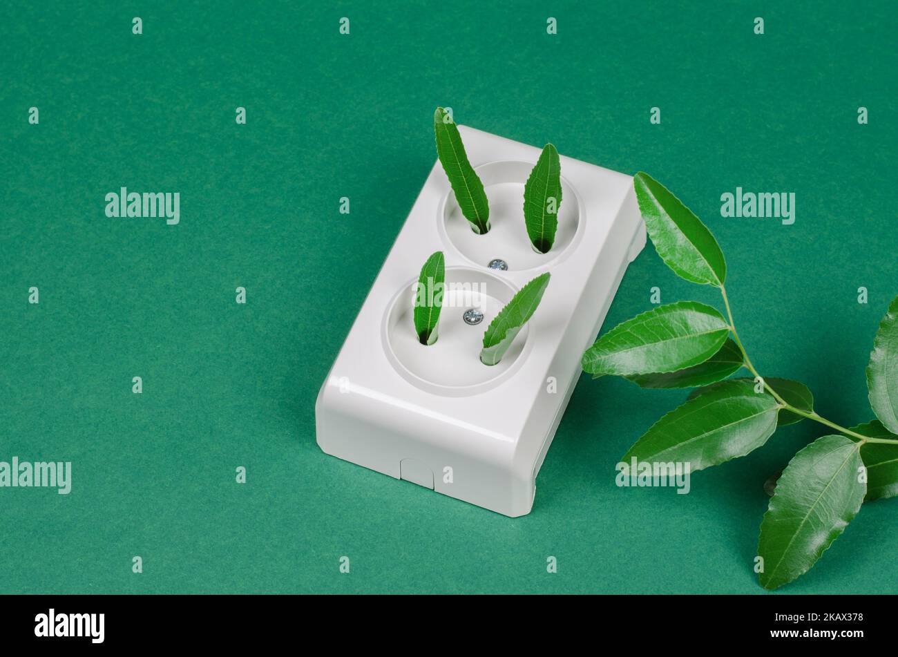 Electrical outlet framed with green leaves on a green background. Green ...