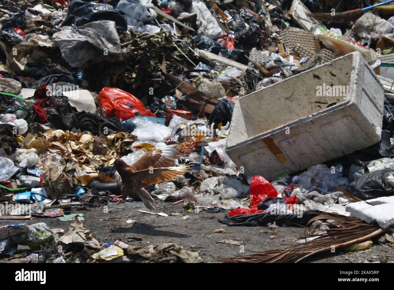 Waste food dump usa hi-res stock photography and images - Alamy