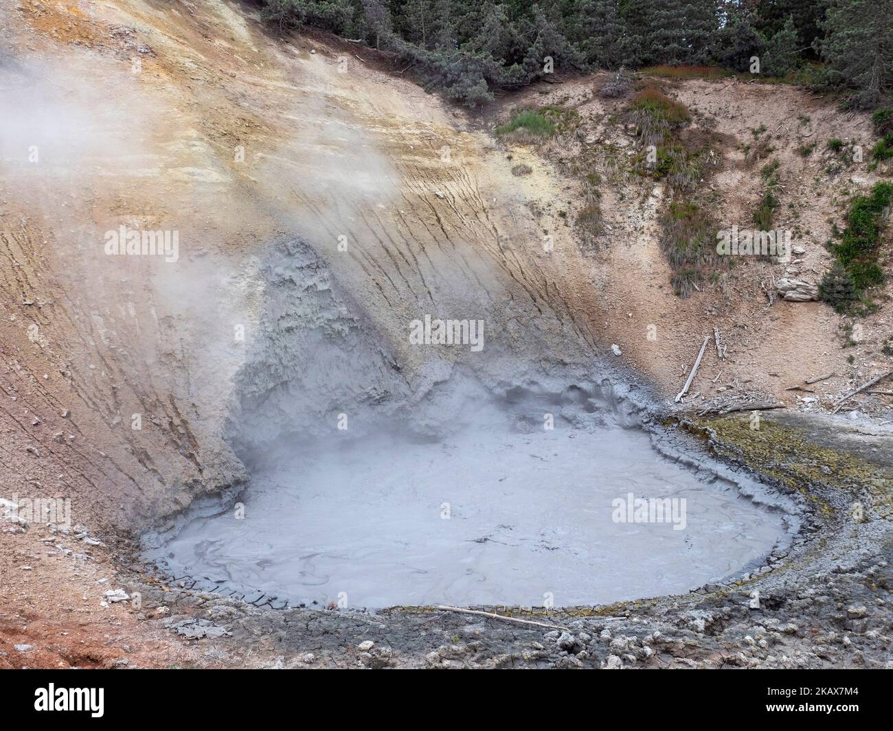 Mud Volcano, Mud Volcano Area, Yellowstone National Park, Wyoming, USA ...