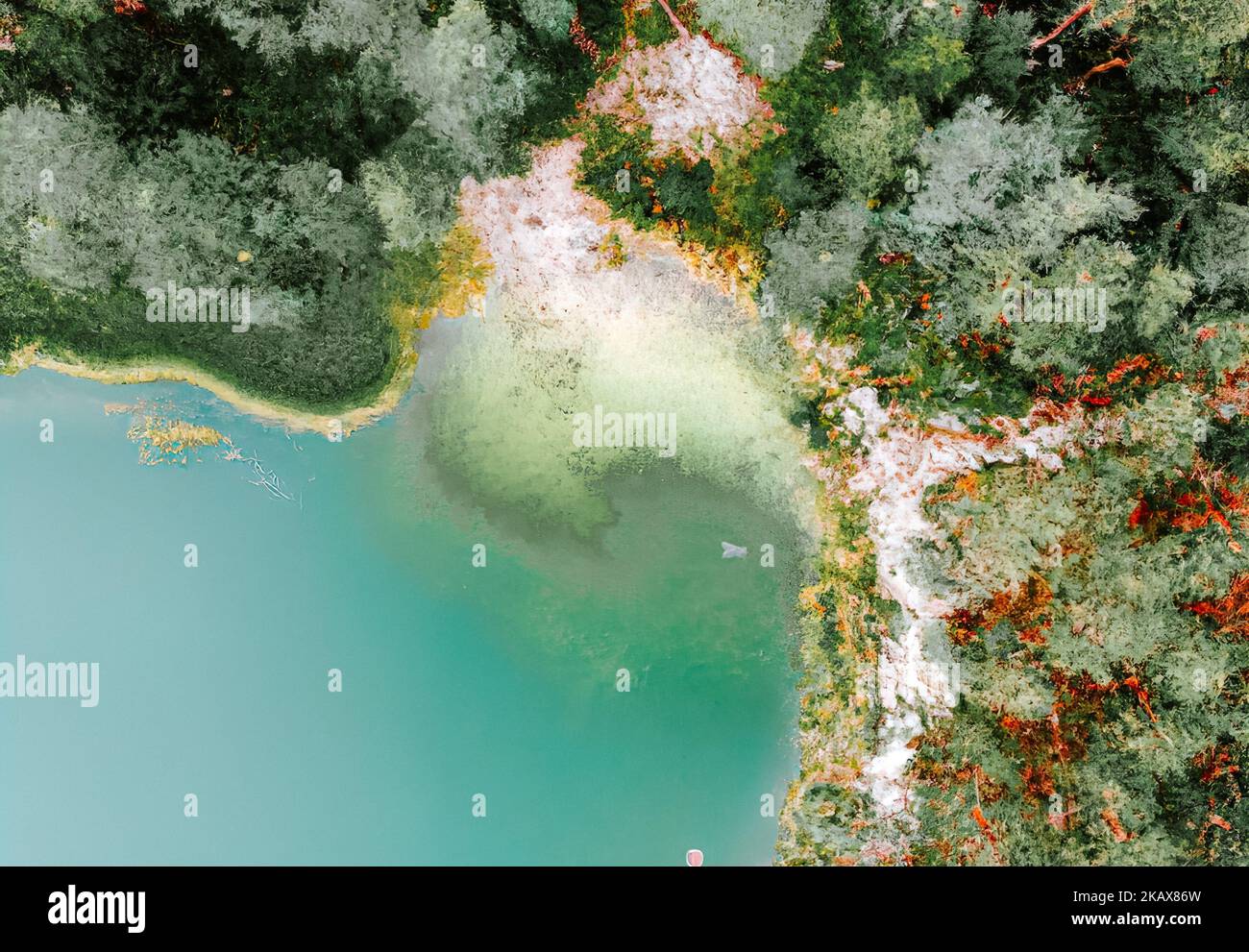 An illustration of a sea and green nature on the coast from above ...