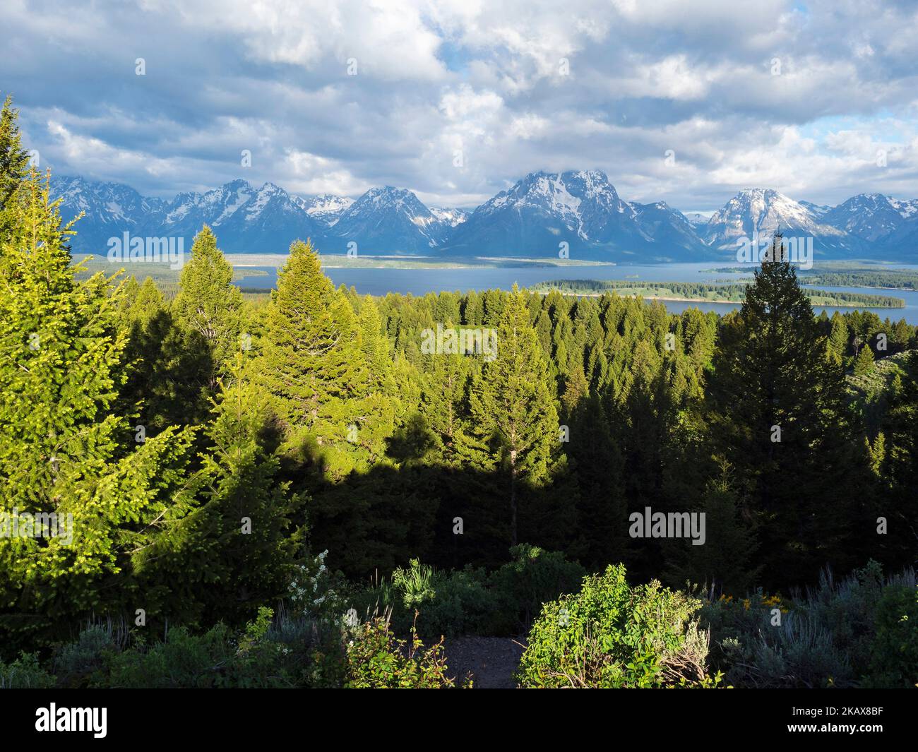 View to the Grand Teton Mountain Range and Jackson Lake from Signal ...