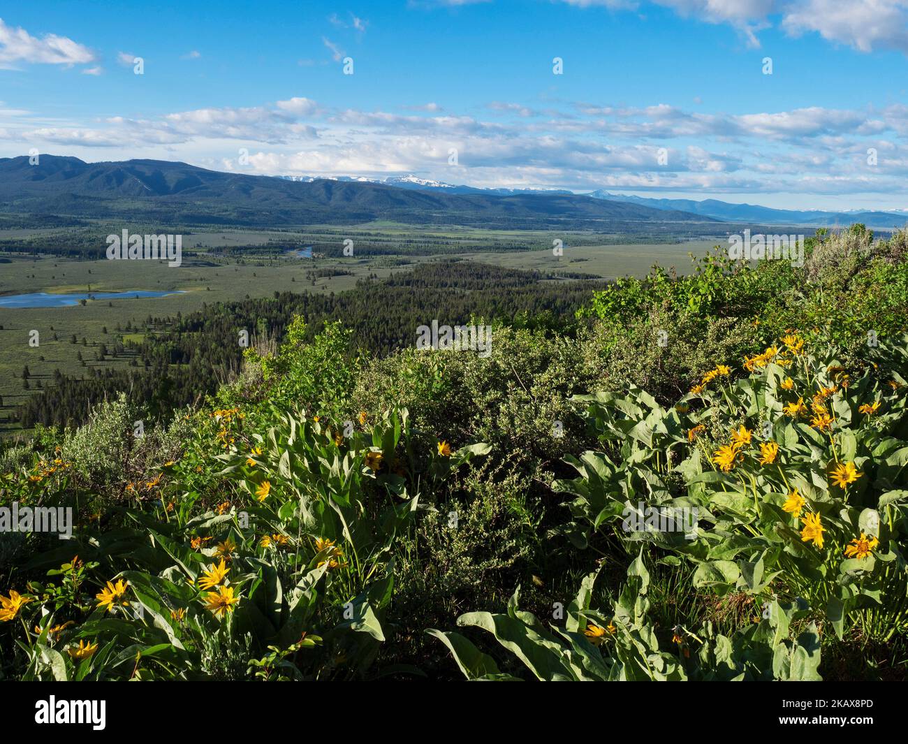 View over Cow Lake to the Snake River from Signal Mountain, Grand Teton ...