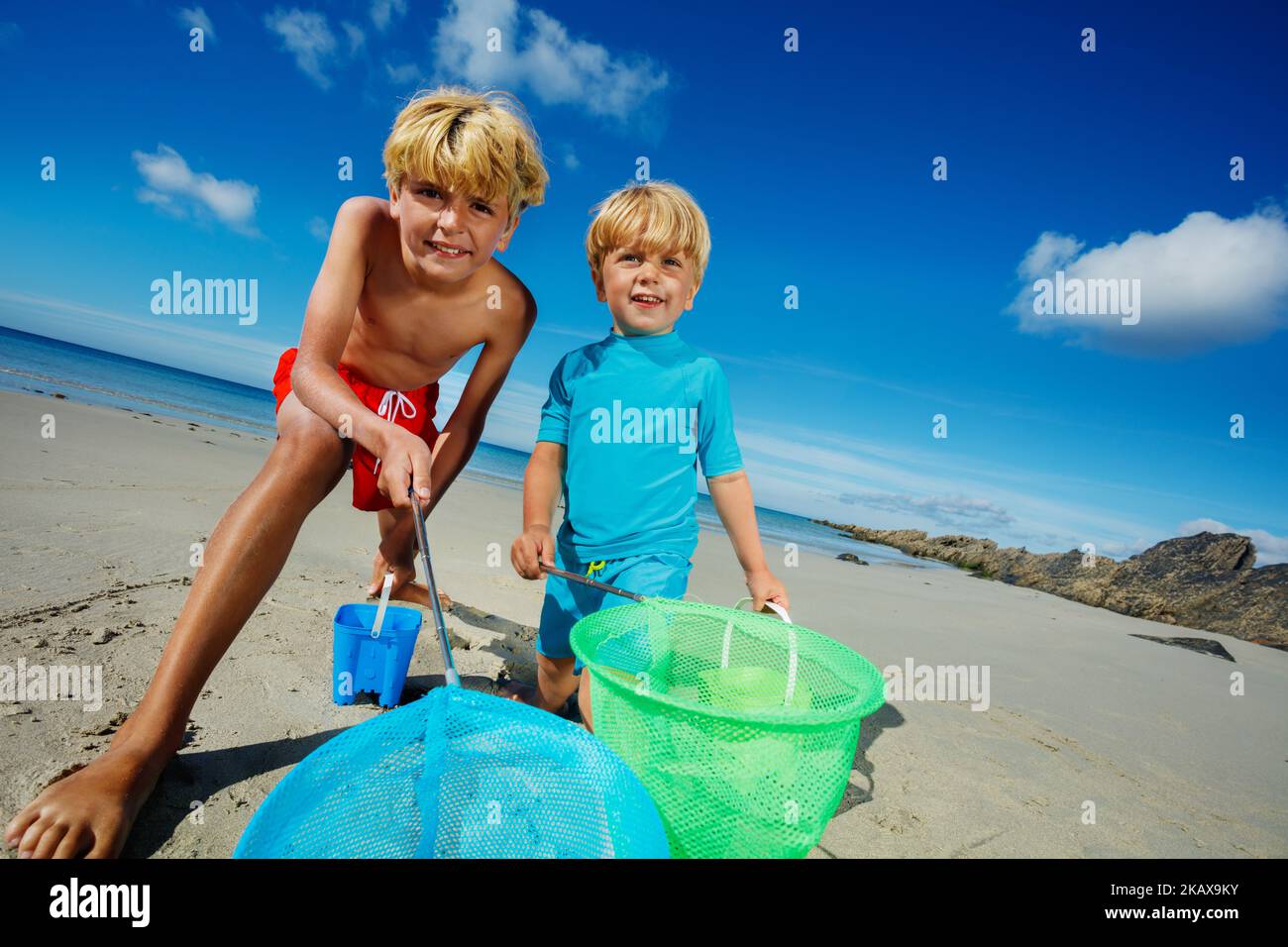 Butterfly net crab hi-res stock photography and images - Alamy