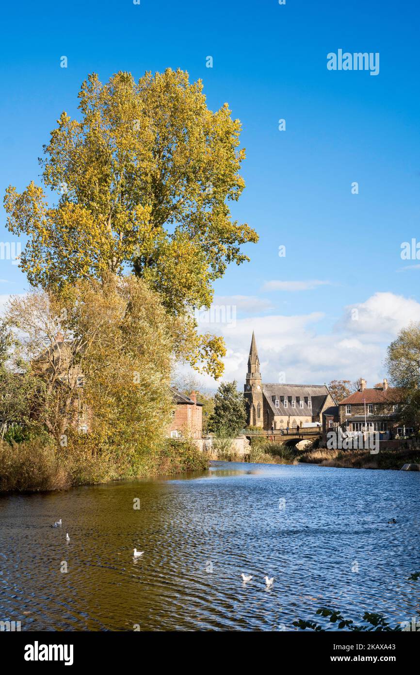 Autumn view along the river Wansbeck in Morpeth, Northumberland ...