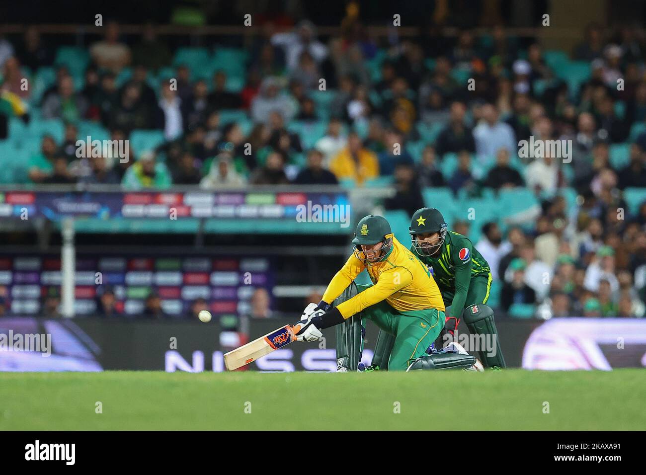 SCG, NSW, Australia: 3rd November 2022; T20 World Cup Cricket, Pakistan ... SCG, NSW, Australia: 3rd November 2022; T20 World Cup Cricket, Pakistan ...