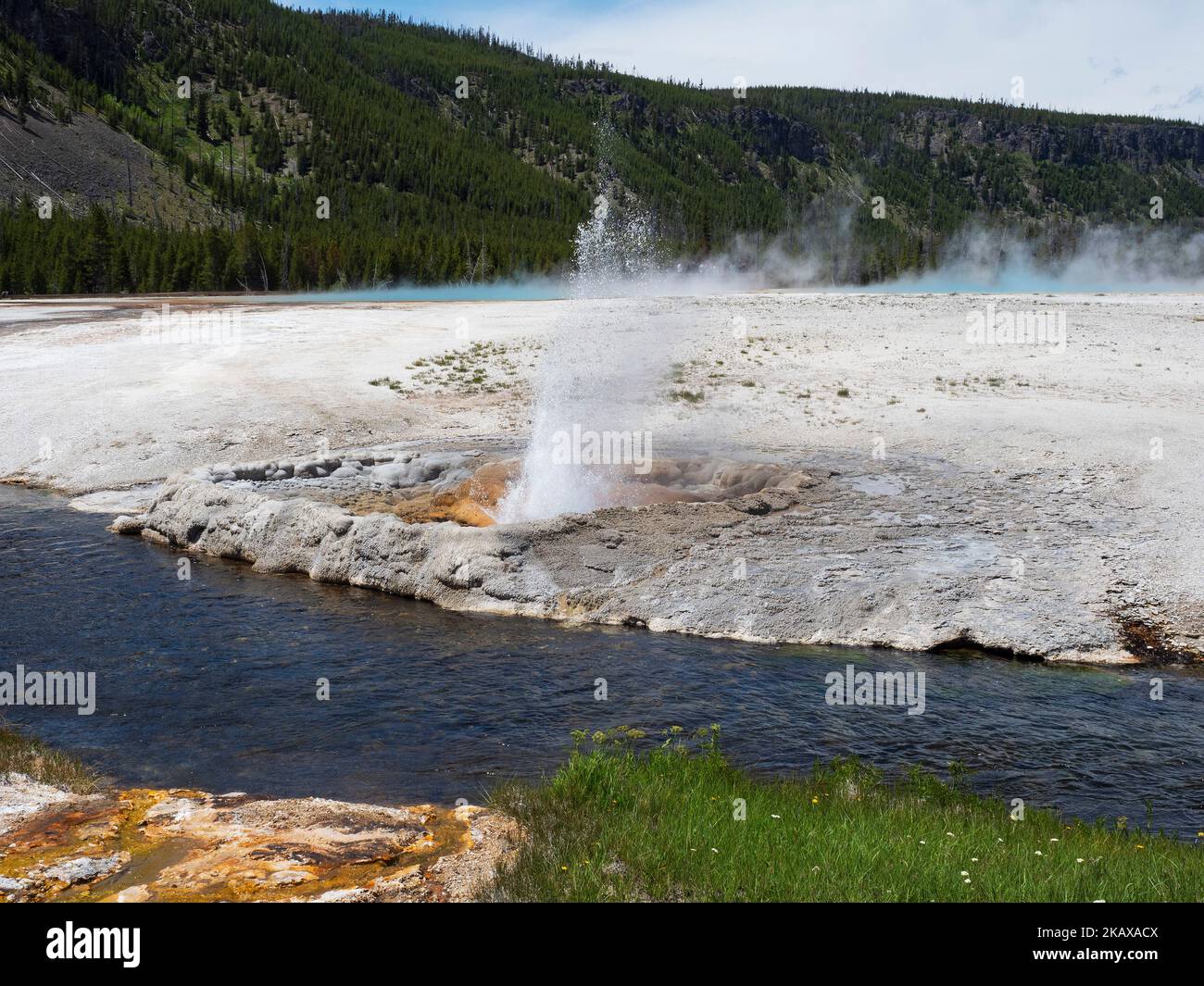 Cliff geyser yellowstone hi-res stock photography and images - Alamy