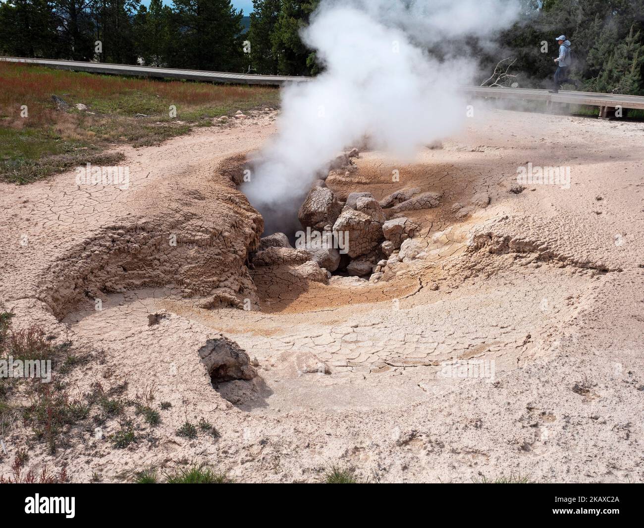 Thermofiles hi-res stock photography and images - Alamy