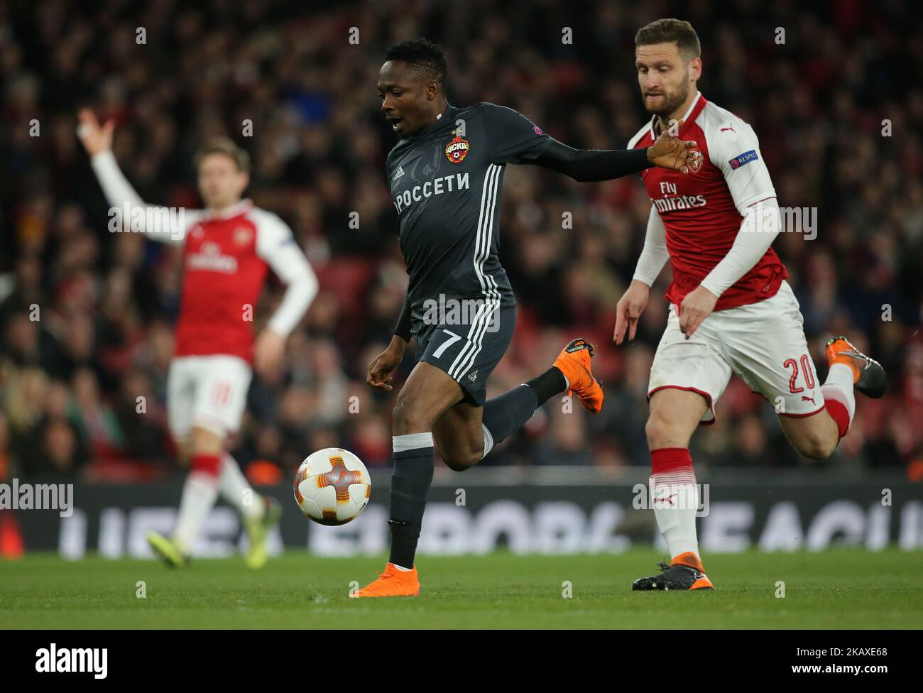 Musa europa hi-res stock photography and images - Alamy