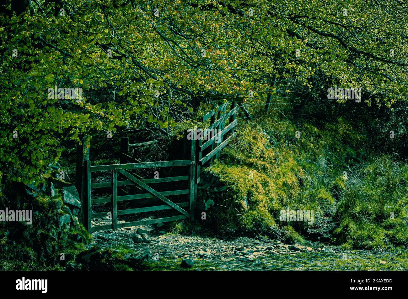Early Autumn Exmoor Landscape, please shut the gate. Exmoor National ...