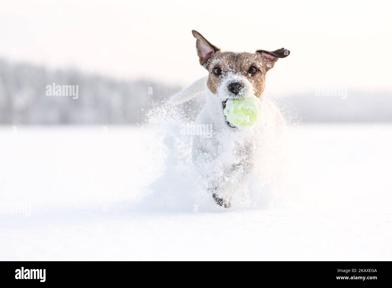 Running carrying ball hi-res stock photography and images - Alamy
