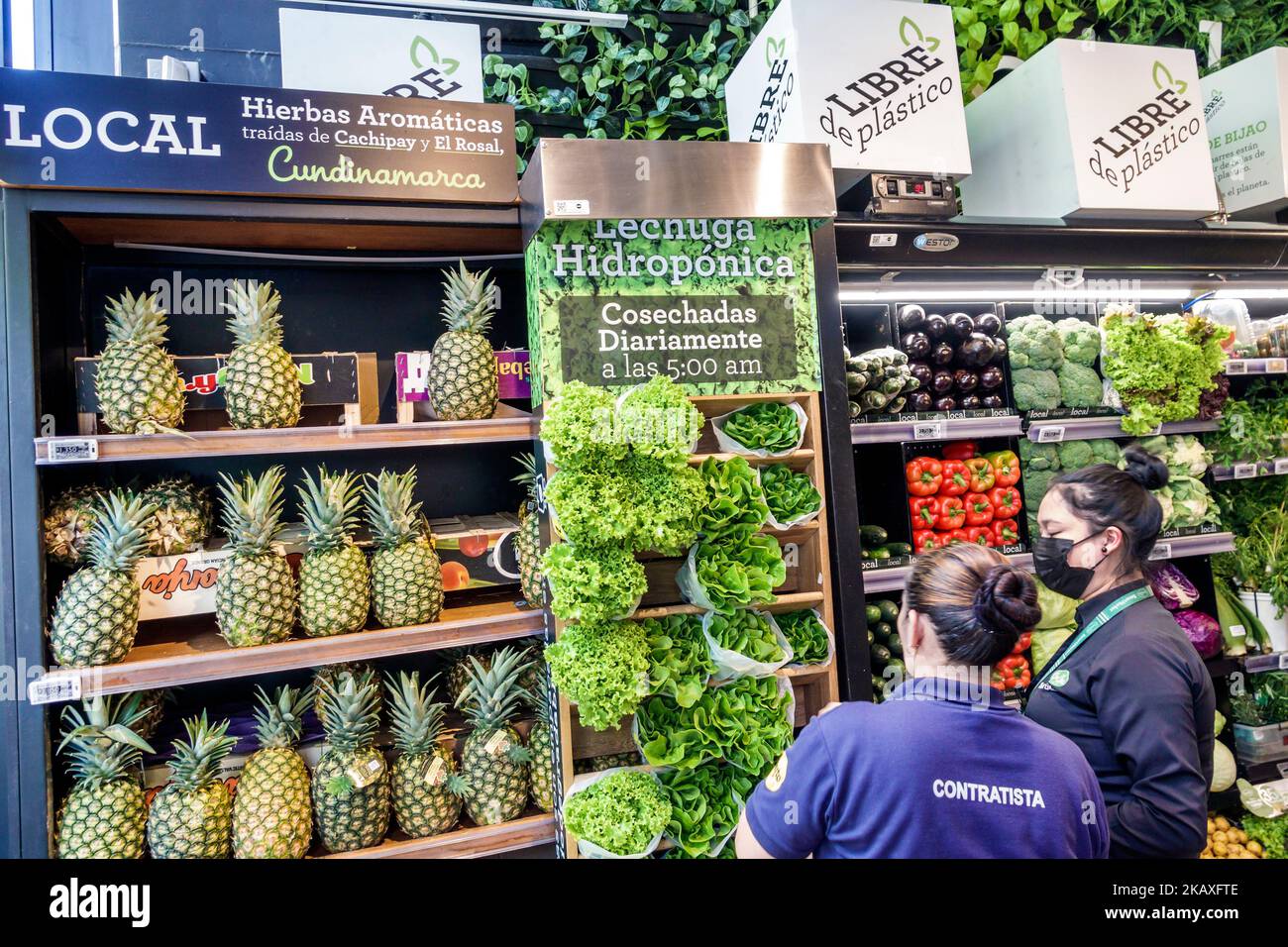 Carulla smartmarket supermarket grocery food hydroponic lettuce ...