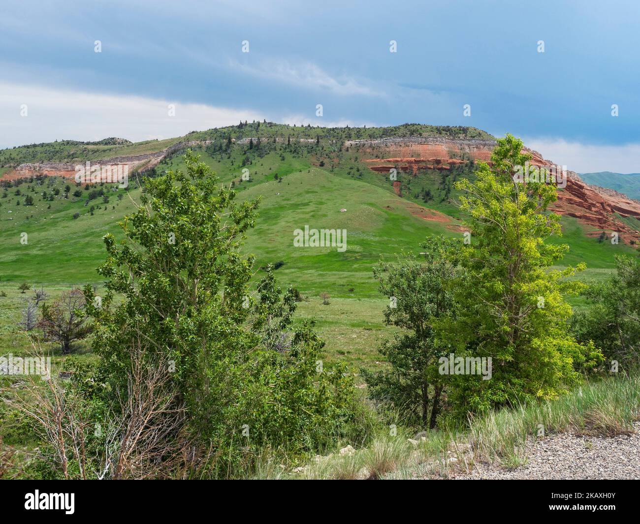 Red sandstone cliff and rolling grassy plains from the Chief Joseph ...