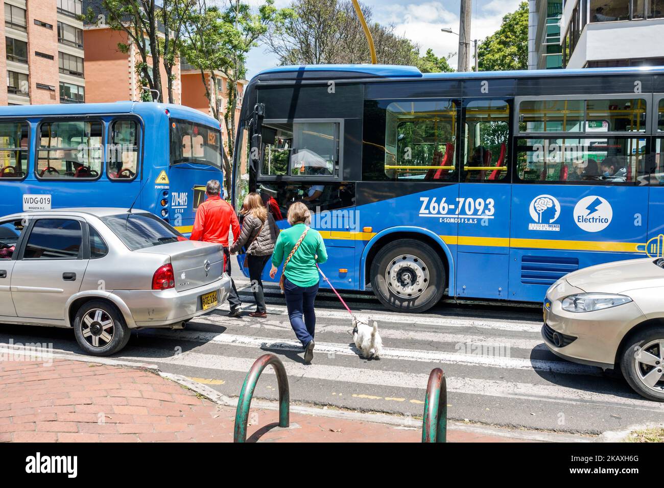 Jaywalking between vehicles hi-res stock photography and images - Alamy