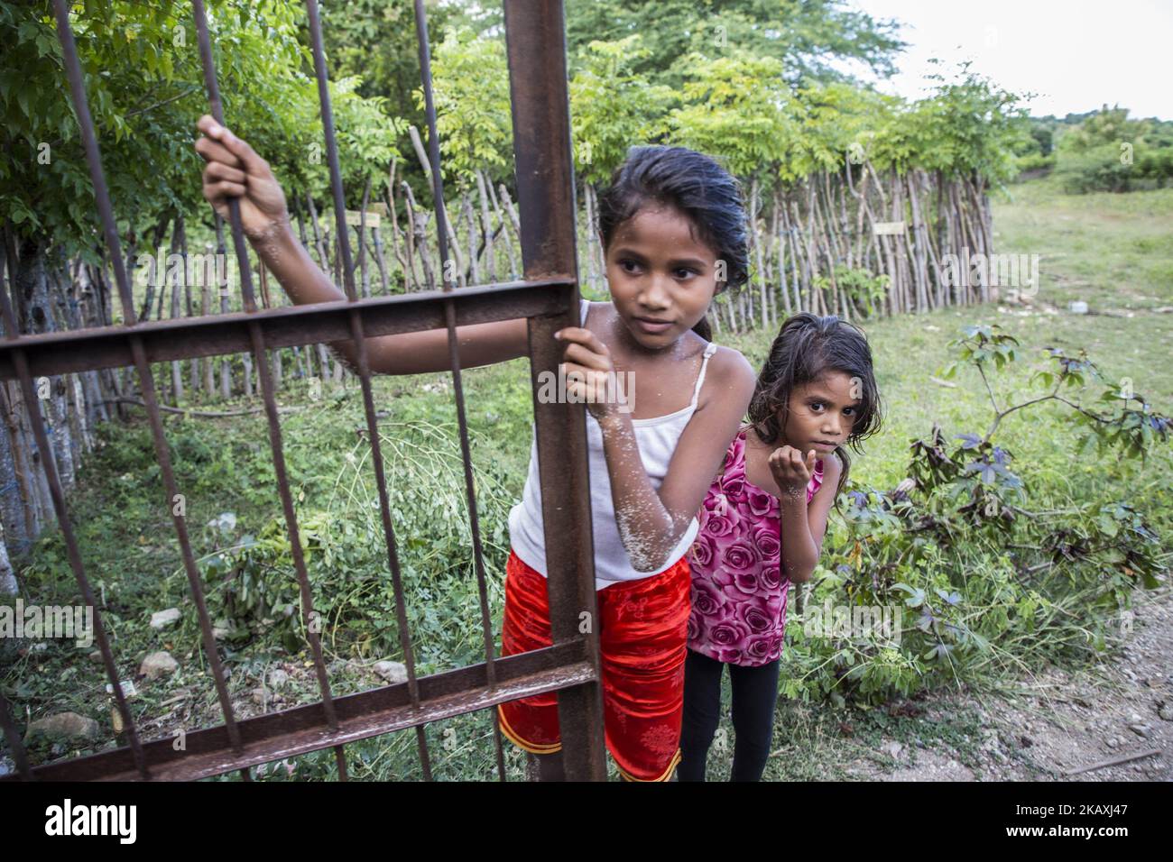 Life condition at Kupang District, East Nusa Tenggara, Indonesia on ...