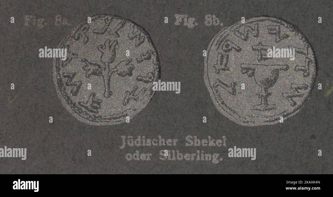 Antique 19th century germany numismatic illustrated catalogue with ...