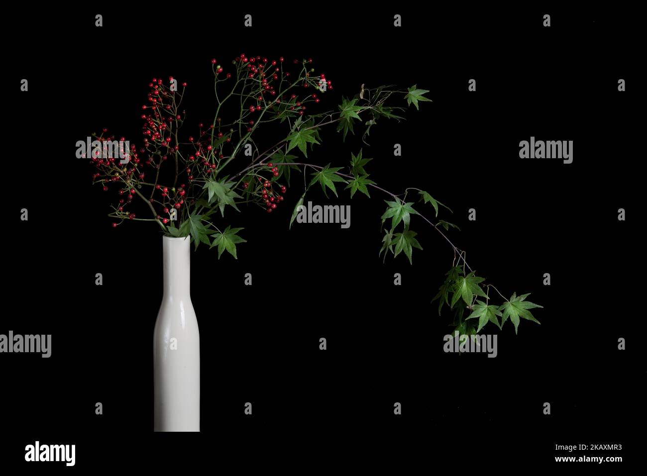 Vase white branches christmas hi-res stock photography and images - Alamy