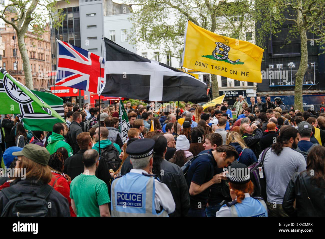 Count dankula dog hi-res stock photography and images - Alamy